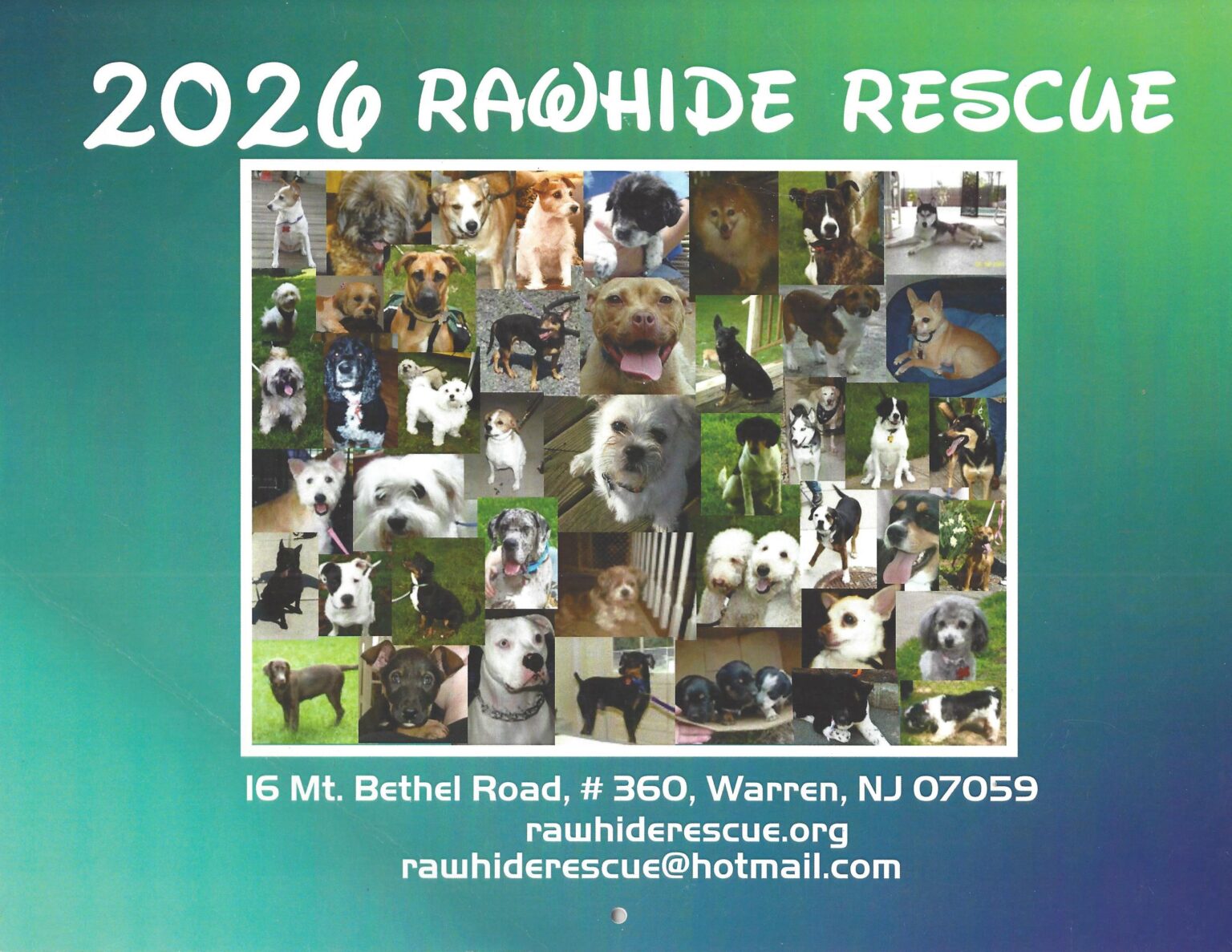 Home - Rawhide Rescue